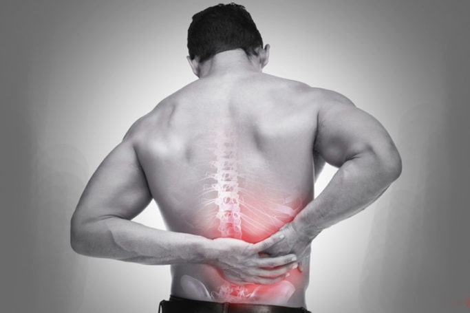 Back Pain Risk factors and Prevention - Casada